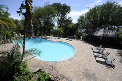 Welcome to Mowana Lodge Kasane Botswana information on Mowana Lodge ...