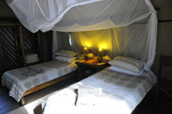 Welcome to Audi Camp Maun Botswana information on Audi Camp Botswana.