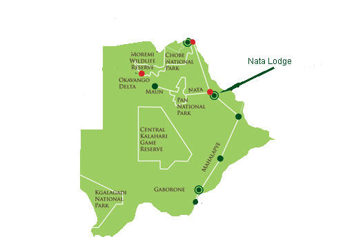 Welcome to Nata Lodge Nata Botswana information on Nata Lodge Botswana.
