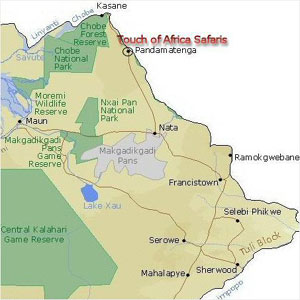 Welcome to Touch of Africa Lodge Pandamatenga Botswana information on ...