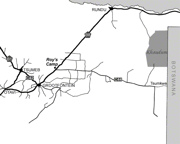Contact Number Email and Directions for Roy's Camp Grootfontein Namibia