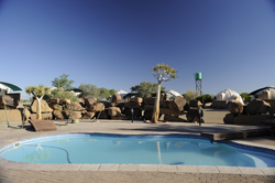 Quiver Tree Forest Camp Keetmanshoop Namibia hotels and accommodation ...
